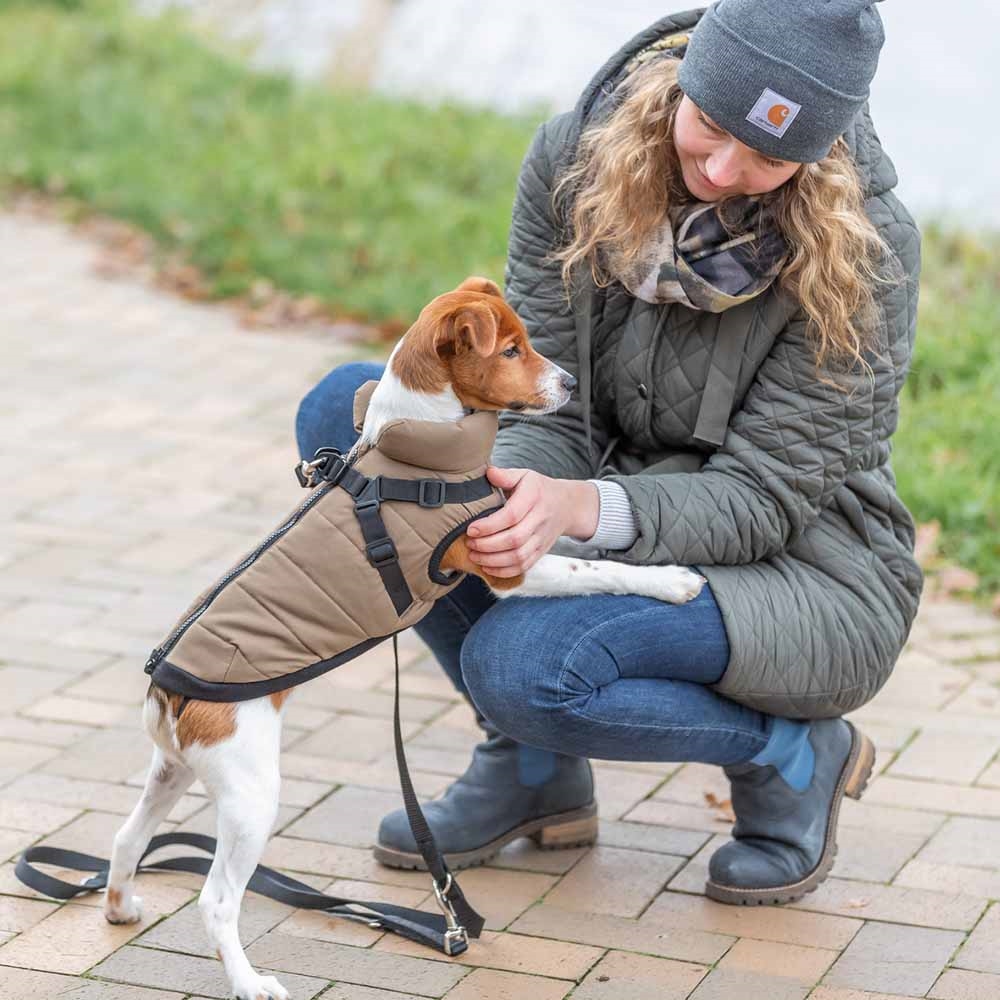 Trixie Vinterjacka För Hunden Design Pirou Sand