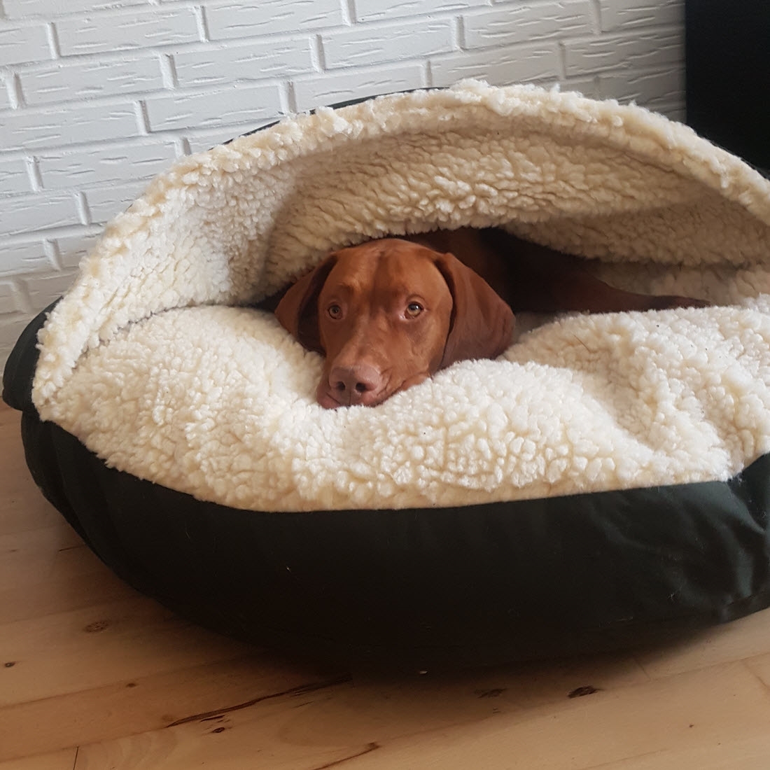 SnooZer Cozy Cave Hundkoja LUXURY MICROSUEDE Design Olive