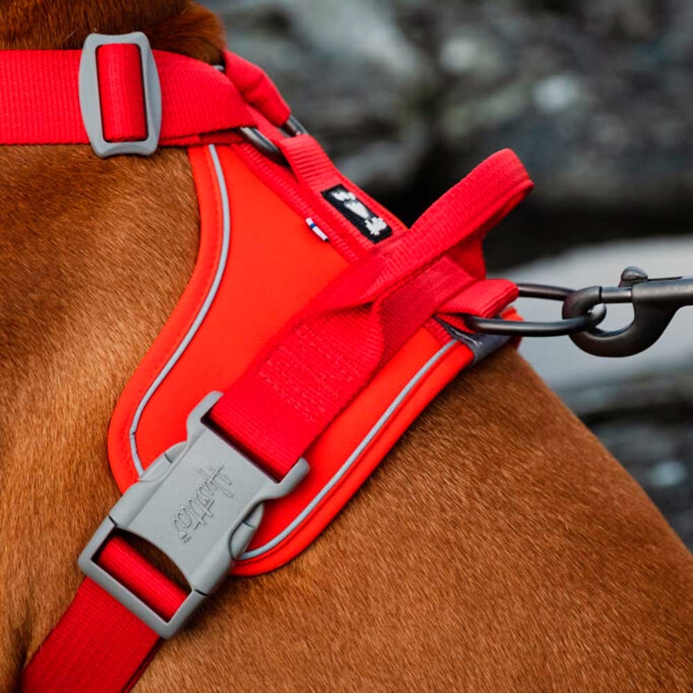 Hurtta Weekend Warrior Dog Sele Ruby